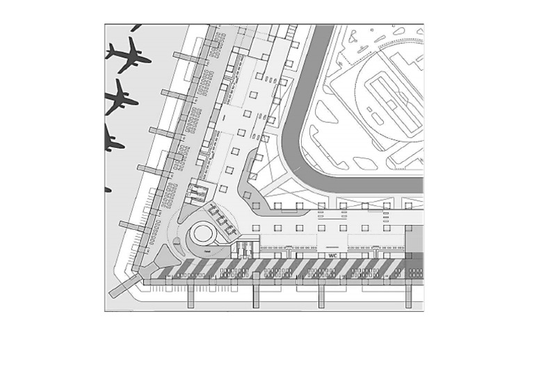 Naia Map T2 V3 Grayscale | PDF