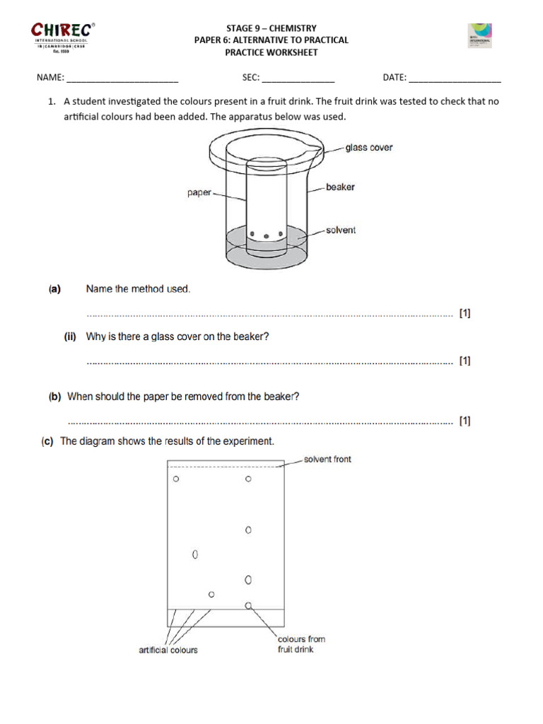 Chemistry Practical Worksheet Guide | PDF