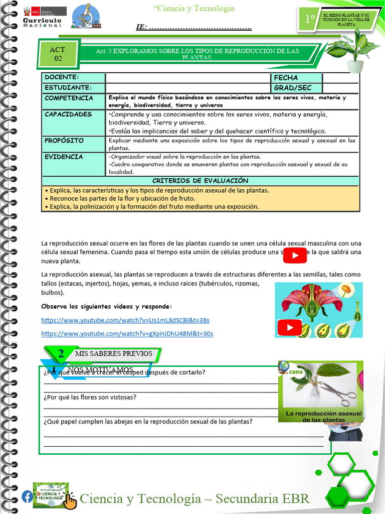 D-1º Act 5 Cyt Unid 2 - Sem 4 | PDF