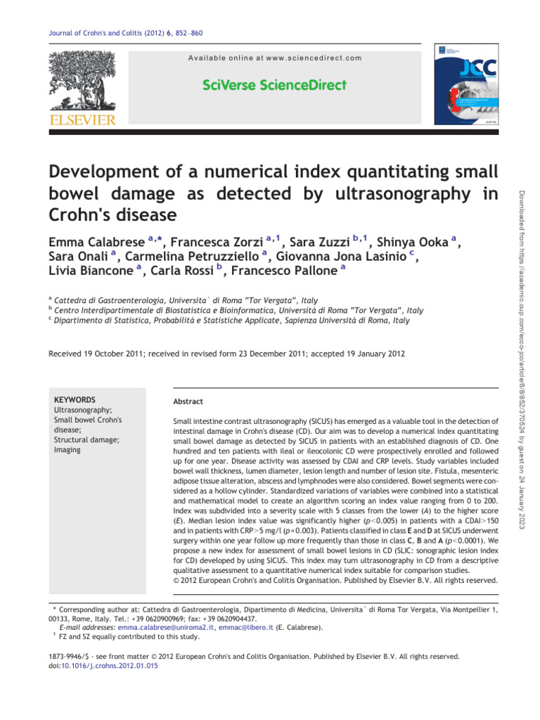 Development of A Numerical Index Quantitating Small Bowel Damage As ...