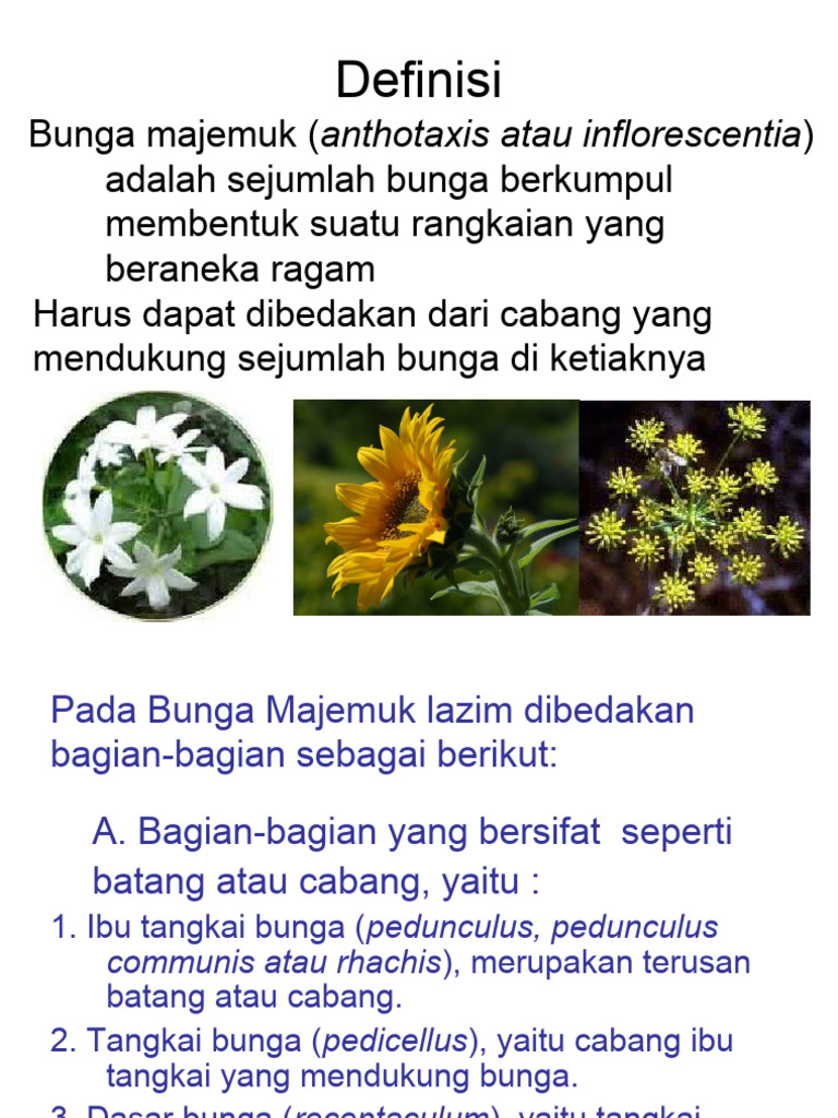 Bunga Majemuk | PDF