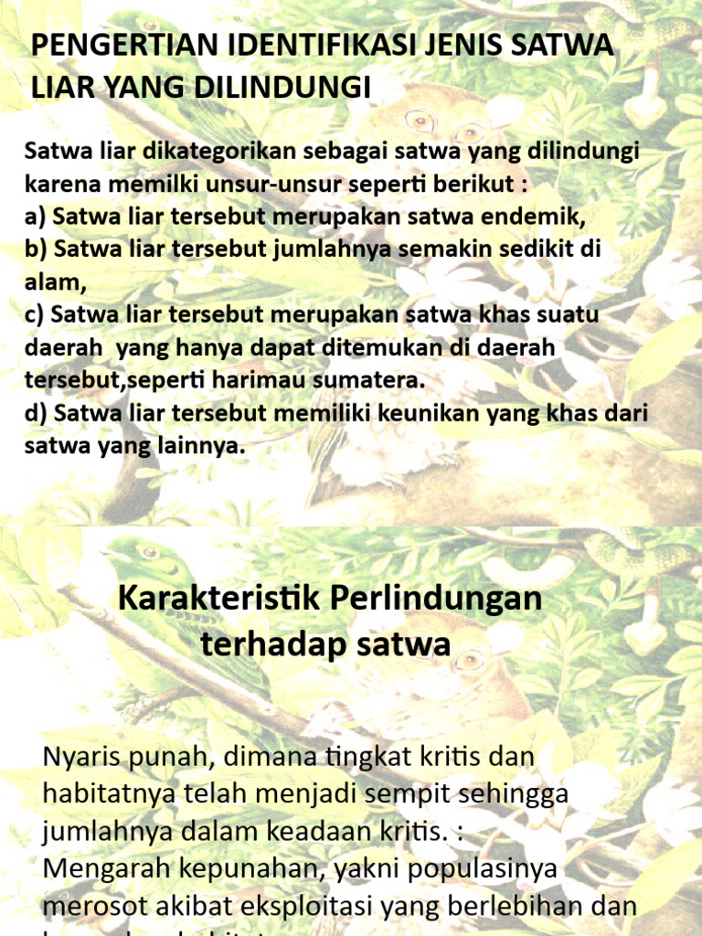 Identifikasi Satwa Liar yang Dilindungi | PDF