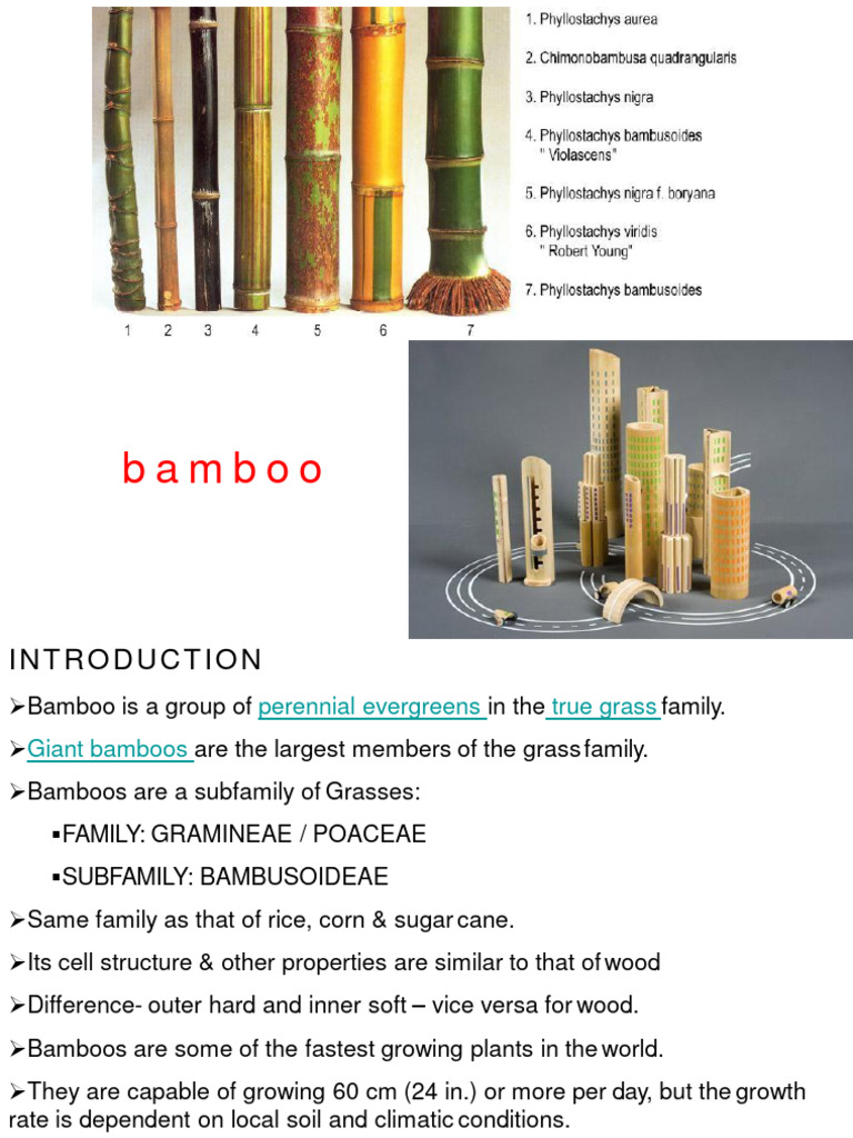 Bamboo 1 Pdf Plaster Roof