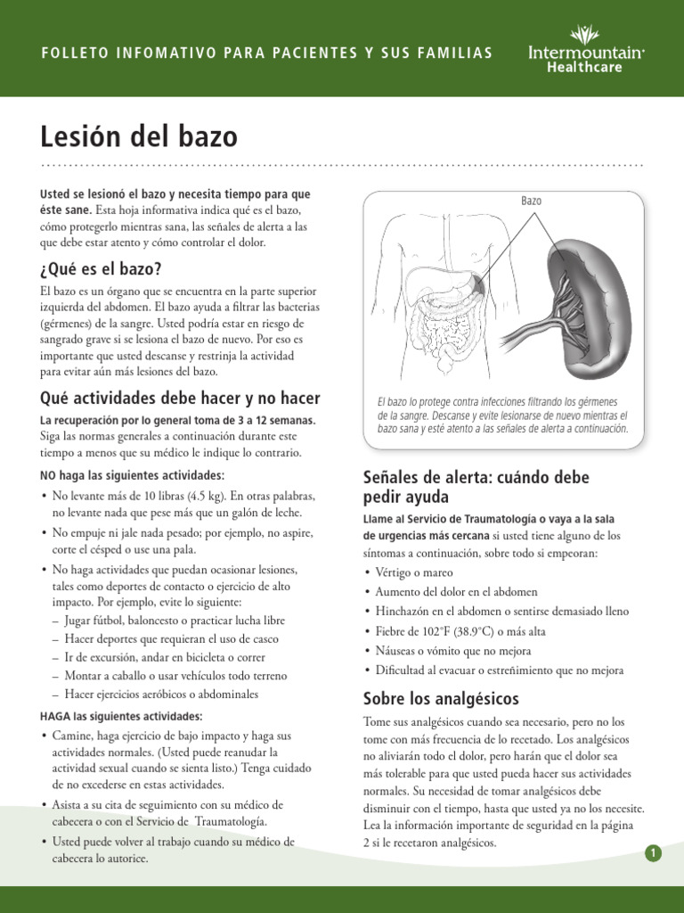 Guía de Recuperación de Lesión del Bazo | PDF | Analgésico | Opioide