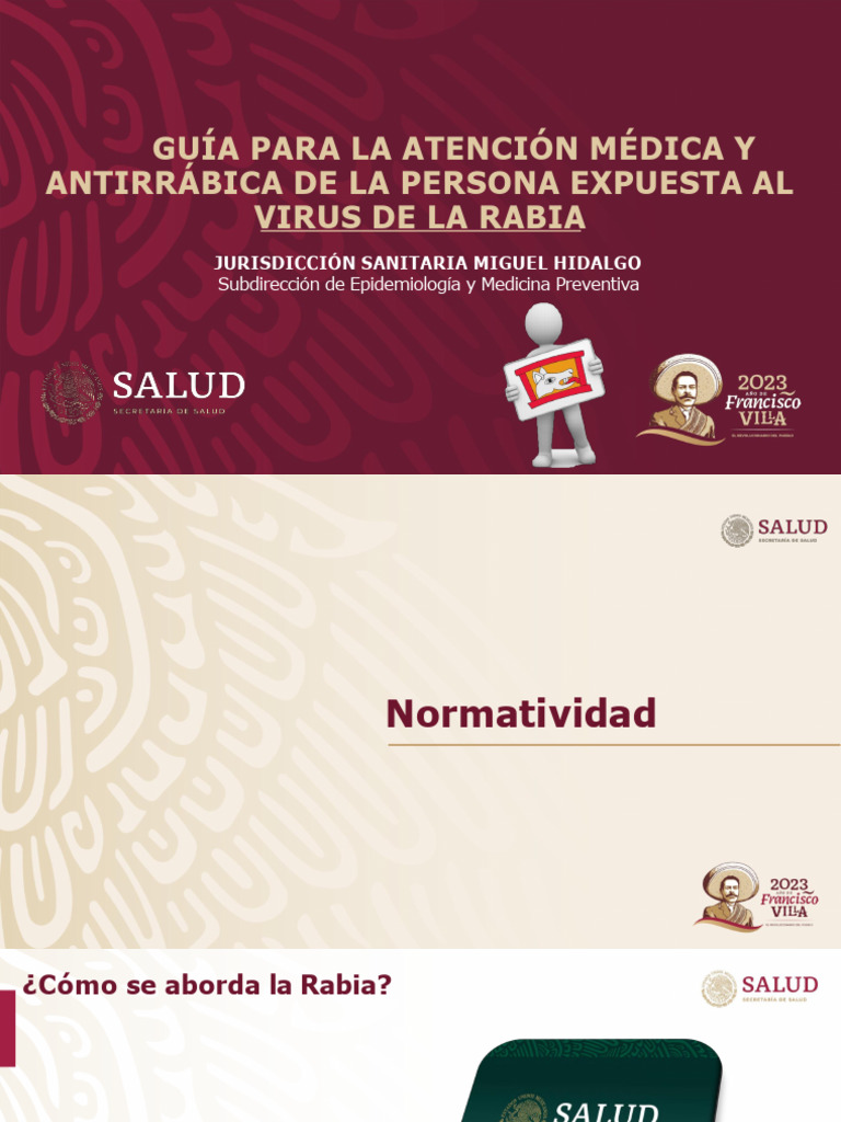 Guía para La Atención Médica y Antirrábica de La Persona Expuesta Al Virus de La Rabia | PDF ...