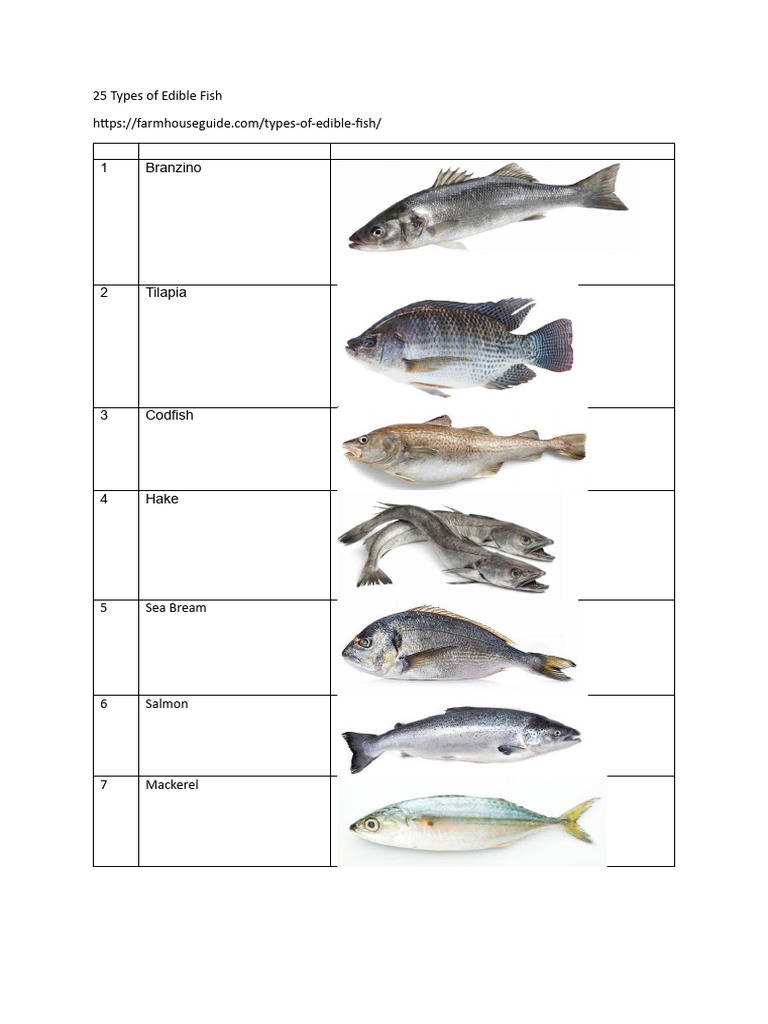 25 Types of Edible Fish | PDF