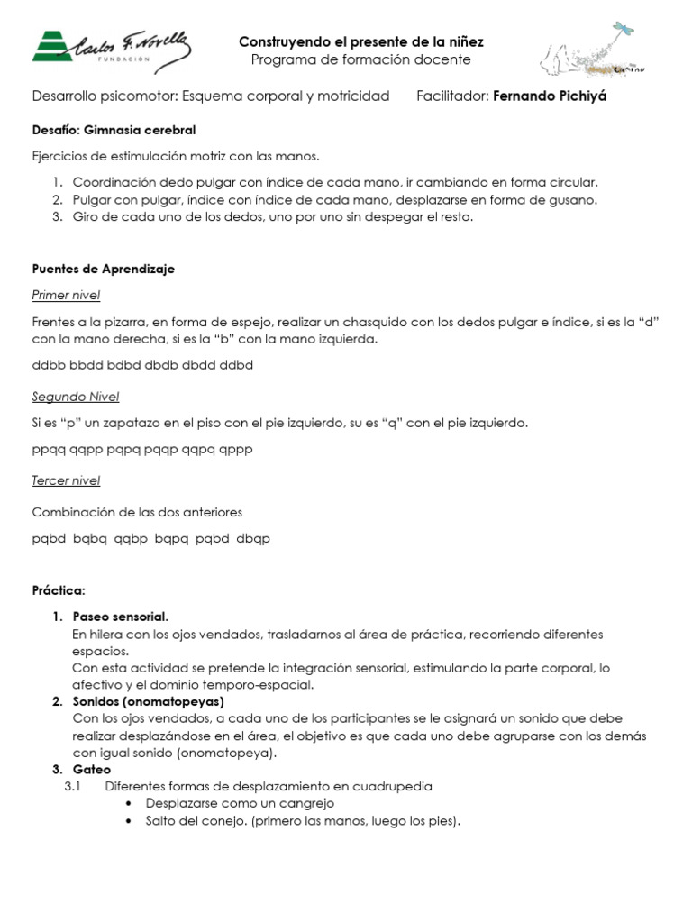 Desarrollo Psicomotor | PDF | Ciencia cognitiva | Neurociencia