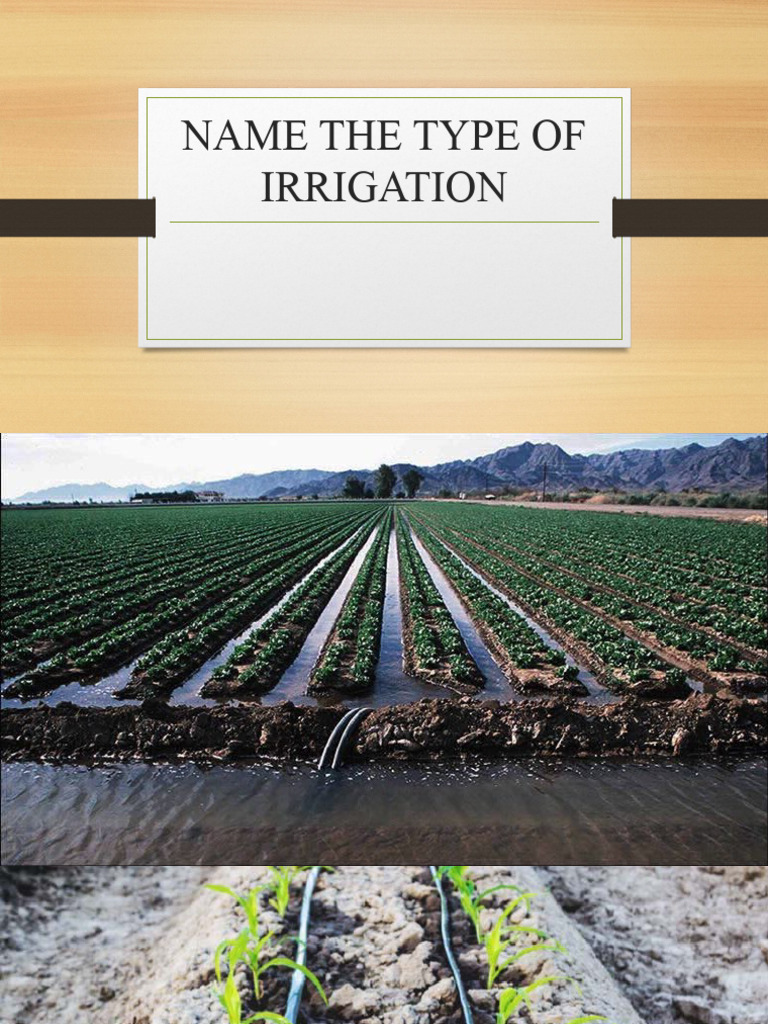 Quiz Type of Irrigation | PDF