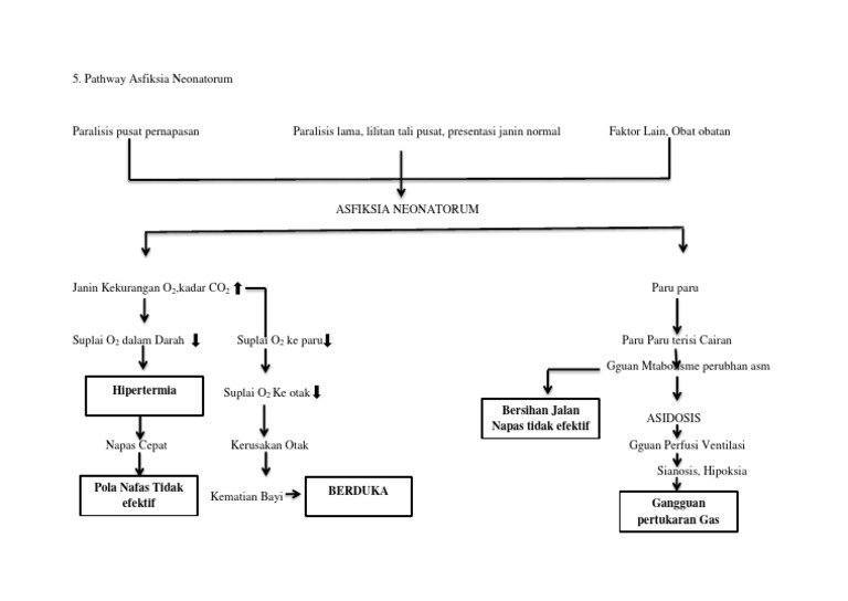 Pathway ASFIKSIA NEONATORUM | PDF