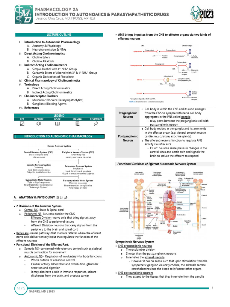 (PHARMA 2A) 2.1 - Intro To Autonomics and Drugs Acting On The ...