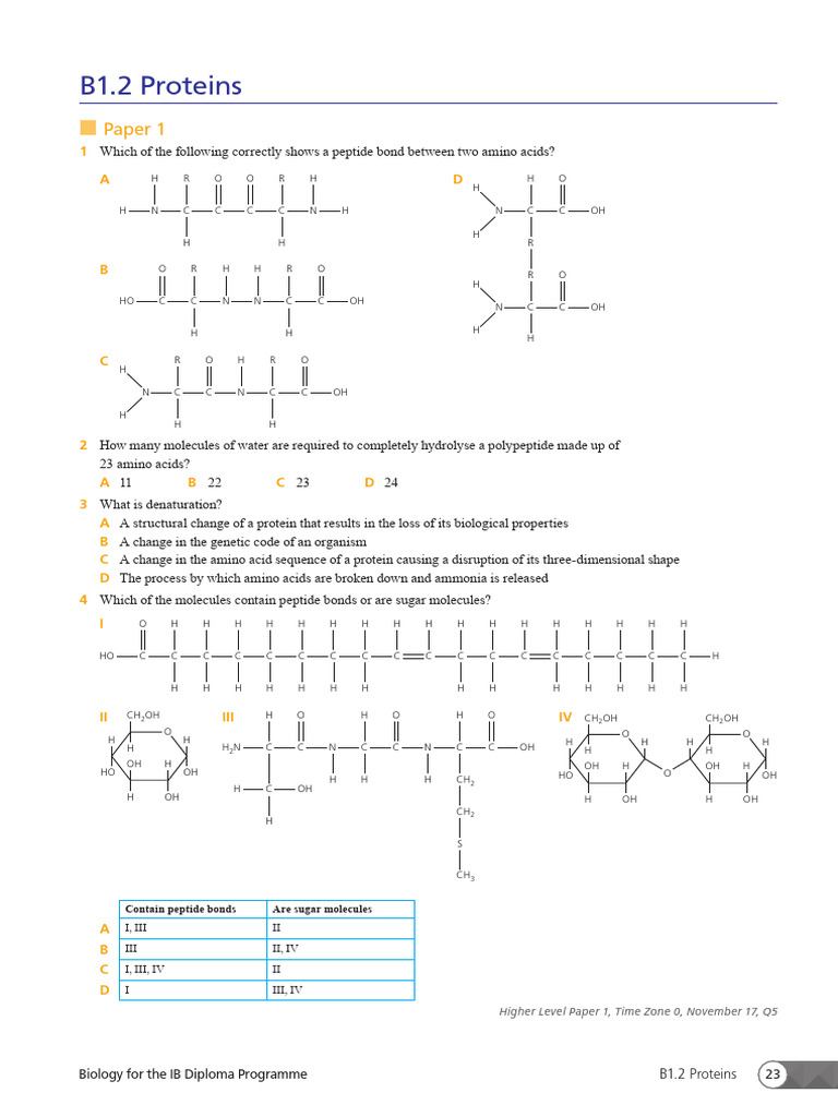 B1.2 Proteins | PDF | Proteins | Amino Acid
