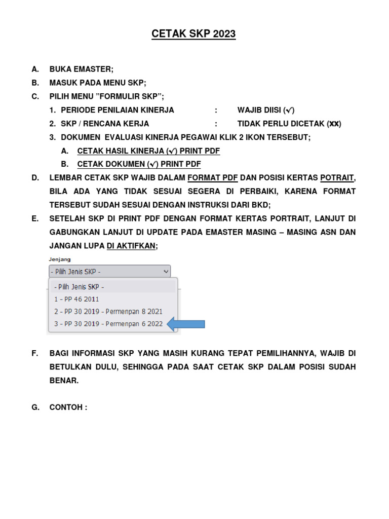 Panduan Cetak SKP Dan Contoh SKP 2023 | PDF