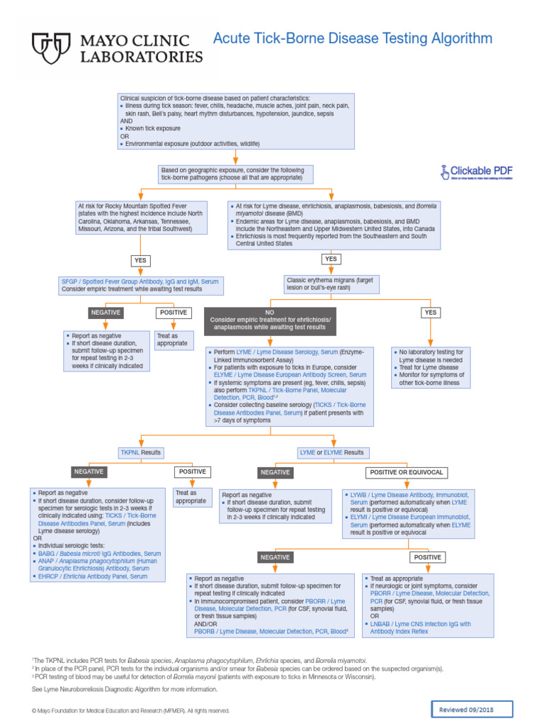Acute Tick-Borne Disease Testing Algorithm | PDF | Lyme Disease | Serology