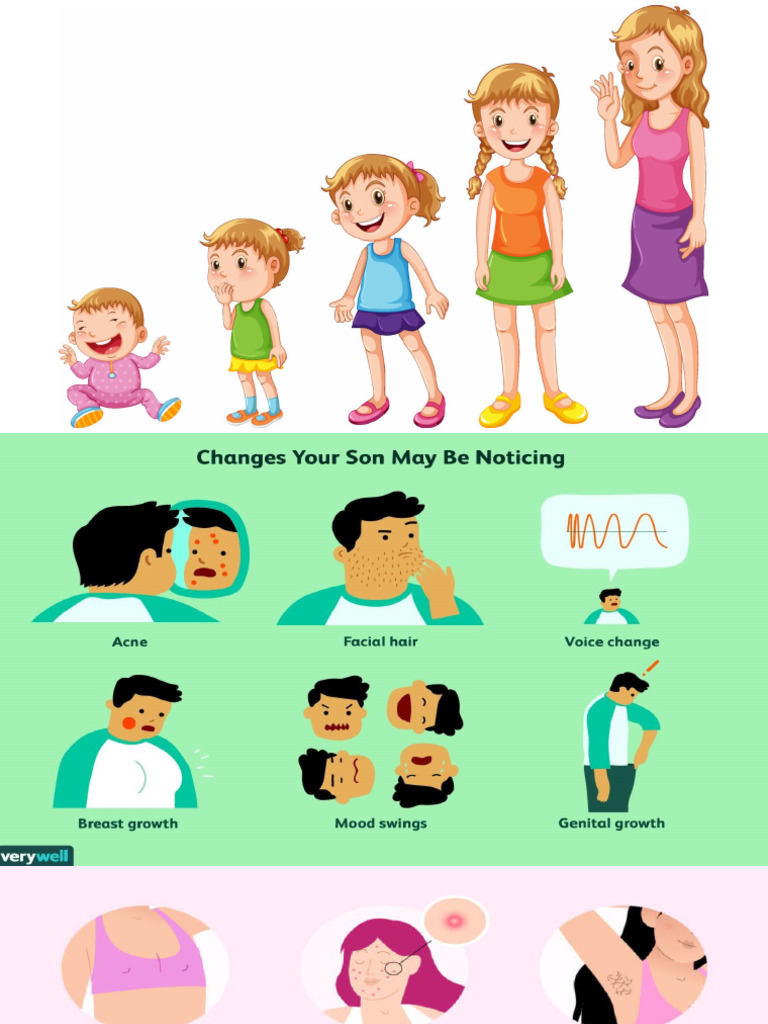 Science Module 2 The Female Reproductive System And Menstrual Cycle Pdf