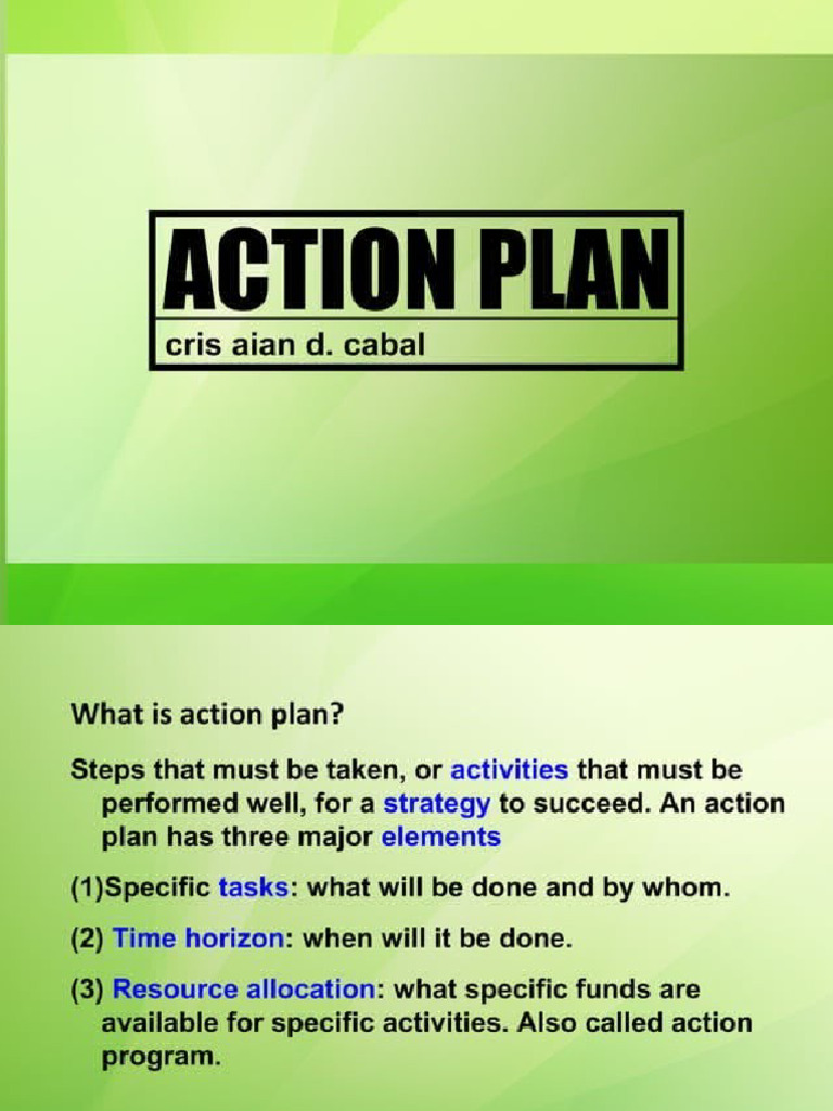 Action Plan 1 | PDF