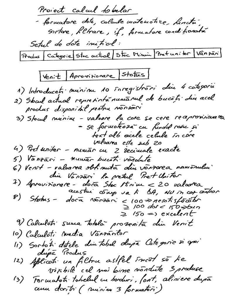 Proiect Final Excel | PDF