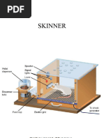 Raven Progressive Matrices RPM (CPM, SPM, APM) | PDF