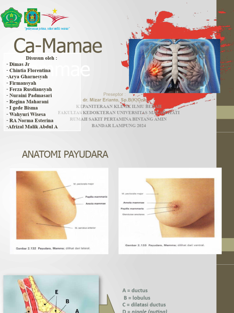 Ca Mammae Jr's 2 | PDF
