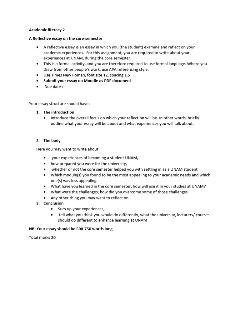 Reflective Essay on Core Semester at UNAM | PDF
