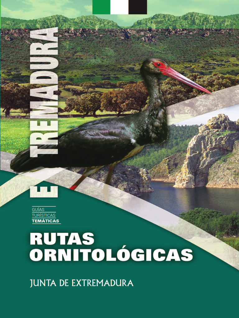 2009 - Corbacho 2009 - RUTAS ORNITOLOGICAS (2 Ed. 4 Cap.) | PDF | Aves holarctic | Ornitología