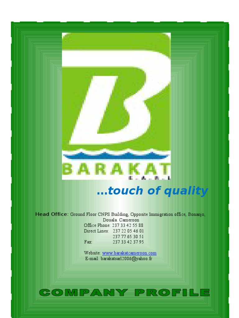 Barakat SARL Company Profile Overview | PDF | Business | Computers