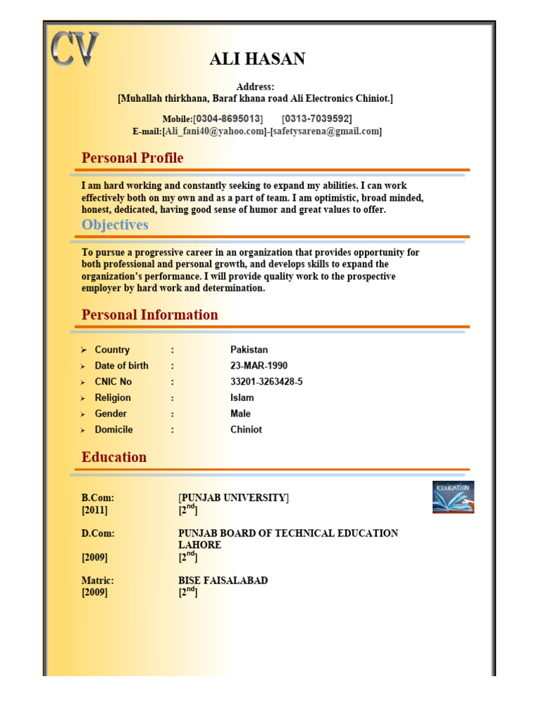 Ali Hasan CV Template Sarena | PDF