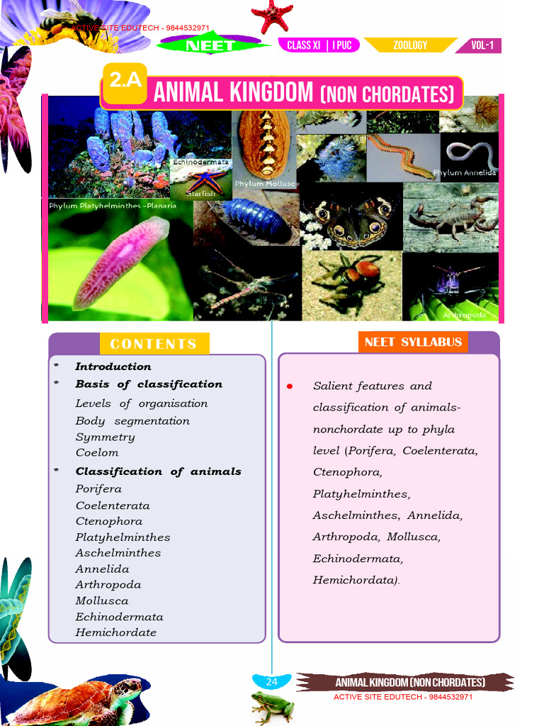 Animal Kingdom | PDF | Sponge | Biology