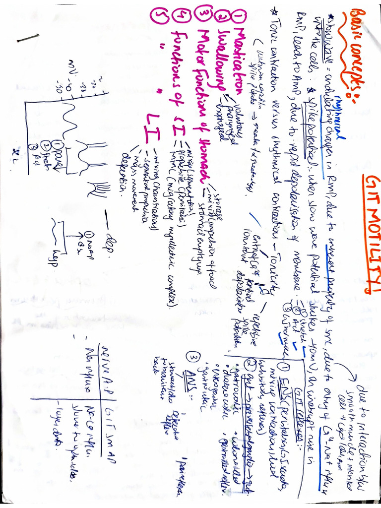 Git Physio Motility CHP 64 Easy Summary | PDF