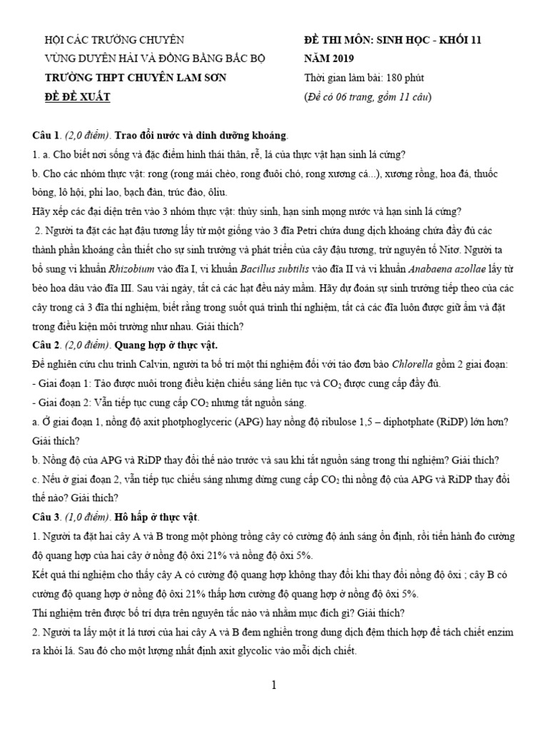 De de Xuat Mon Sinh - Khoi 11 | PDF