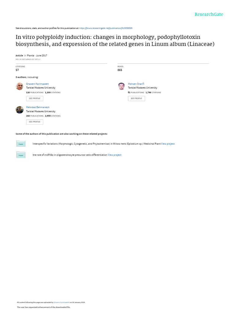 In Vitro Polyploidy Induction Changes in Morpholog | PDF | Real Time ...