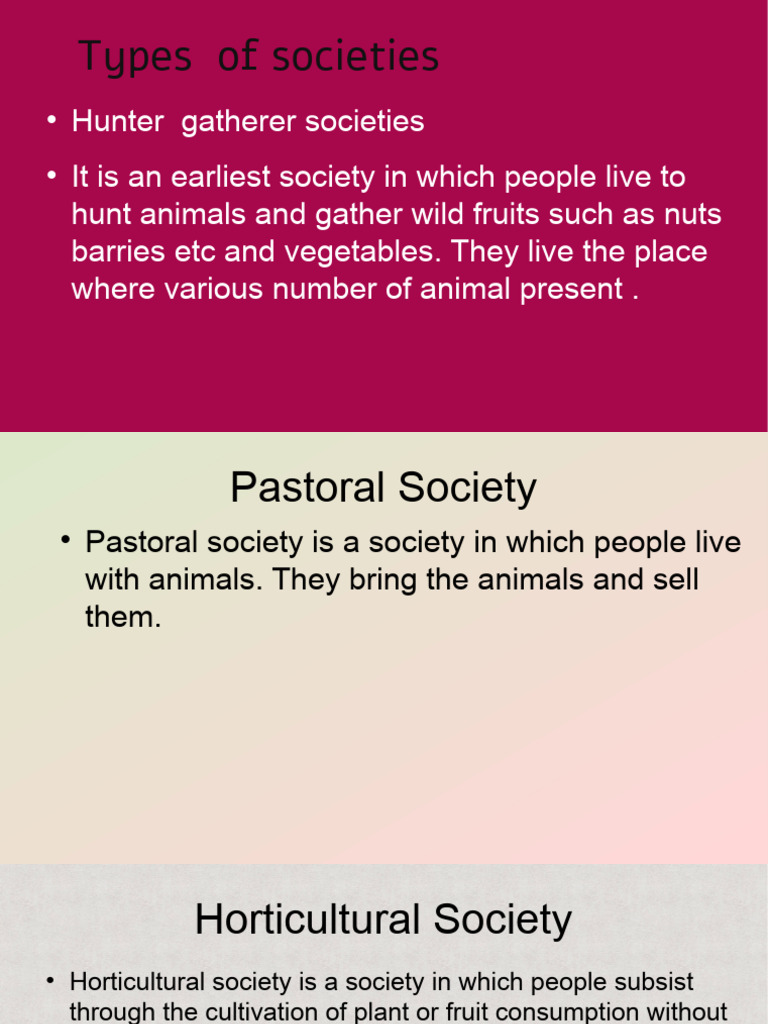 Types of Societies Explained | PDF