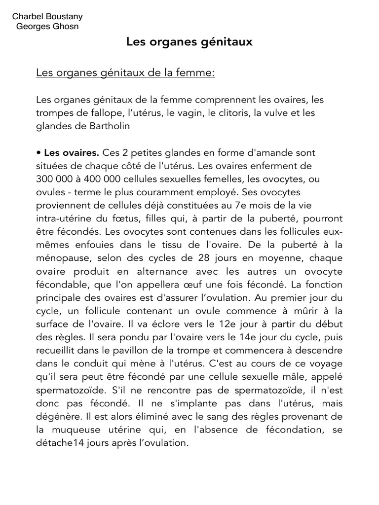 Anatomie des organes génitaux humains | PDF | Utérus | Prostate