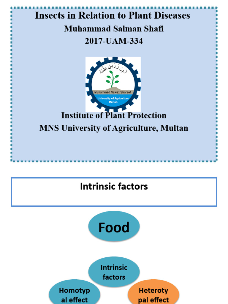 ..Insect Rearing Techniques - 01 | PDF | Insects | Water
