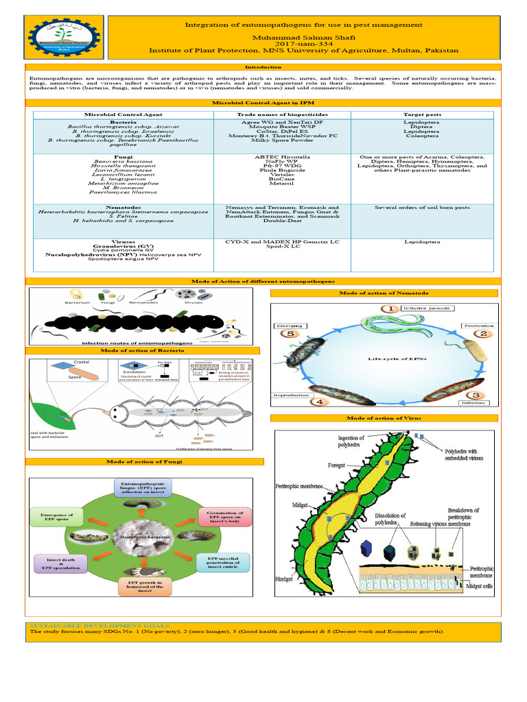 .Integration of Entomopathogens For Use in Pest Management | PDF | Pest ...
