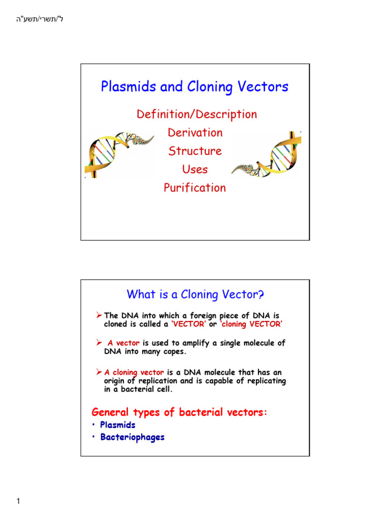 2-Short-Plasmids and Expression Systems | PDF | Plasmid | Vector ...