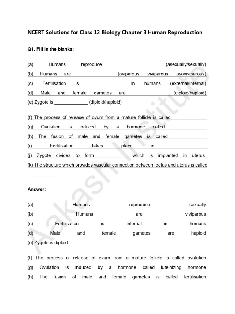 Ncert Solutions Class 12 Biology Chapter 3 Human Reproduction | PDF ...