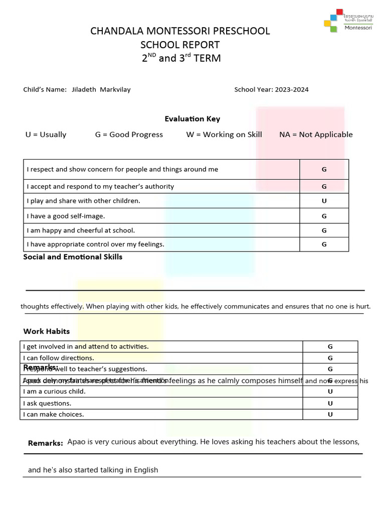 Report Format | PDF | Cognitive Science | Cognition