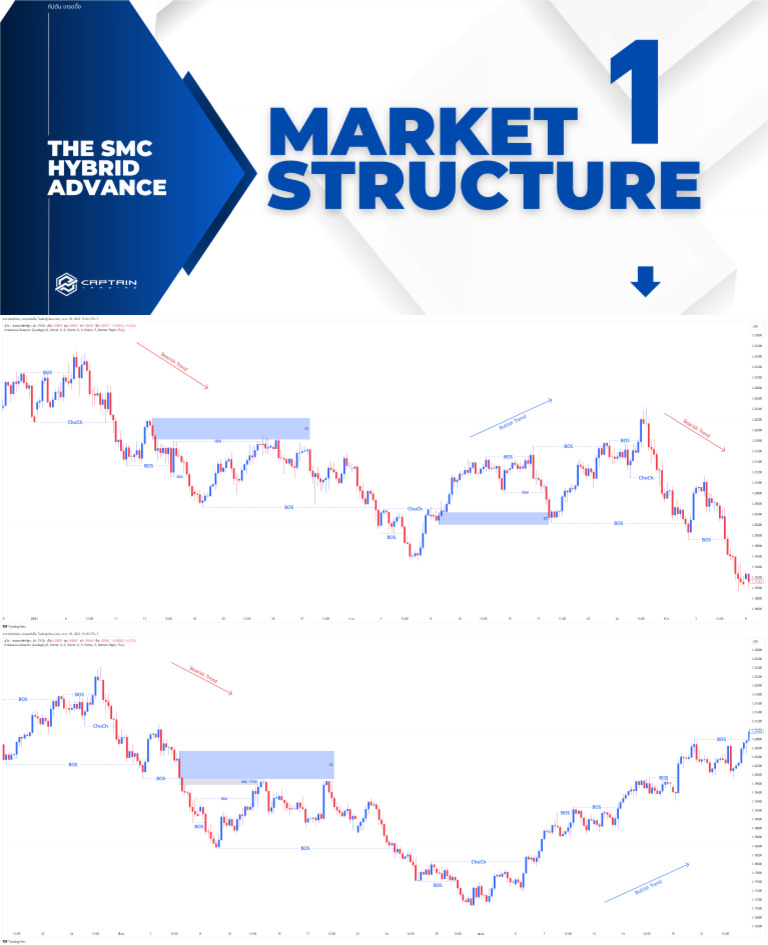 1.the Market Structure | PDF