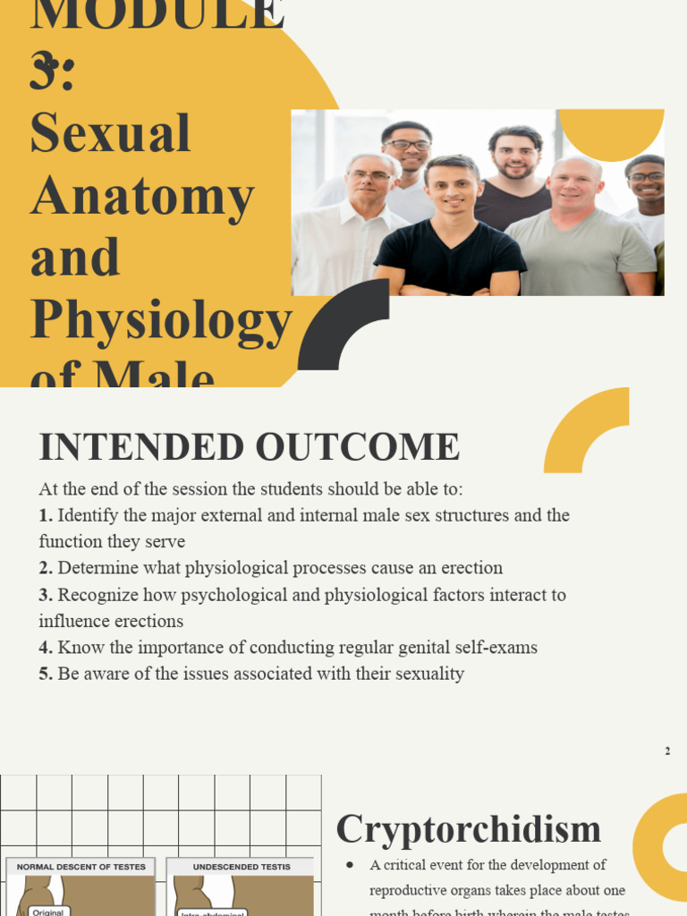Module 3 Sexual Anatomy and Physiology of Male | PDF | Testicle | Human ...