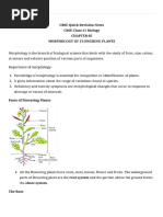 Biology Chapter 5 Morphology of Flowering Plants Class 11 Notes - FREE ...
