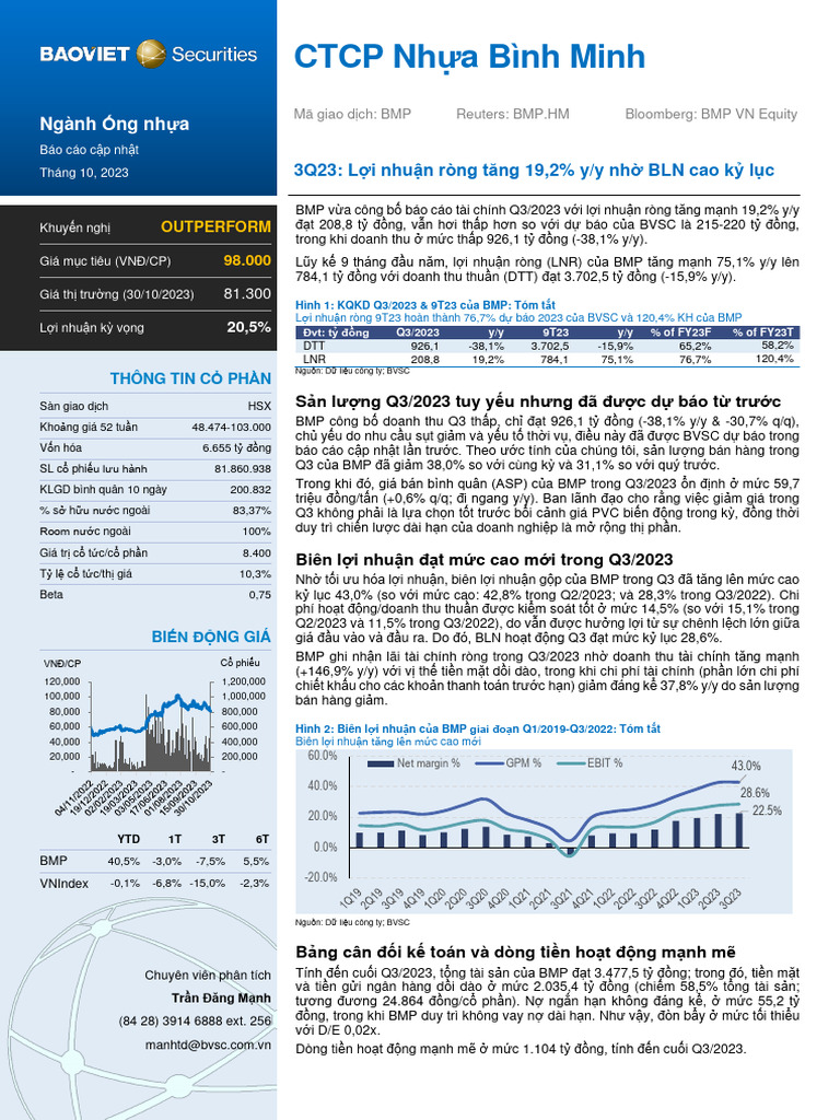 Baocaocapnhatbmp 2218 | PDF