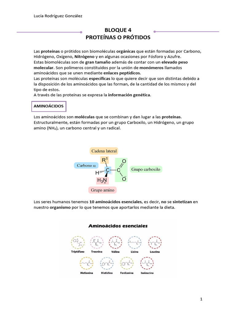 Bloque 4 | PDF | Proteínas | Aminoácidos