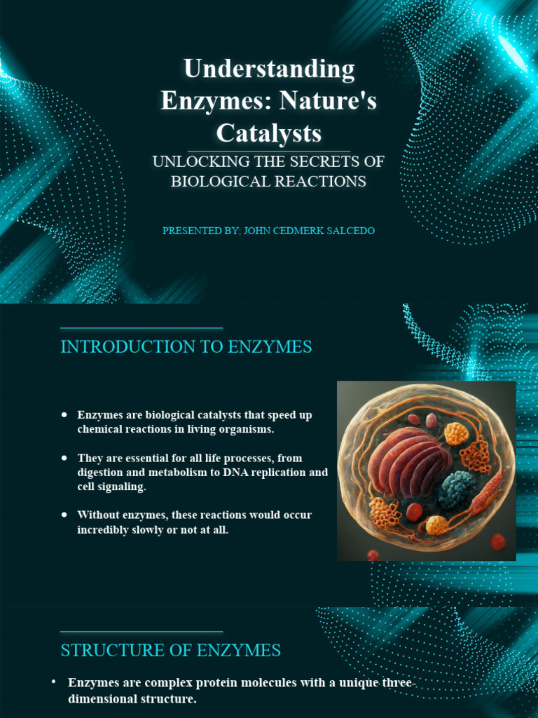 Enzyme | PDF | Protein Structure | Enzyme