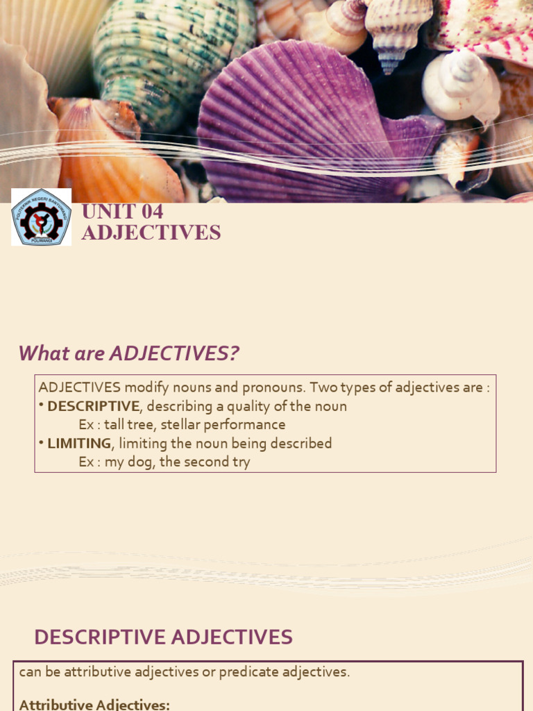 Unit 4 Adjectives | PDF