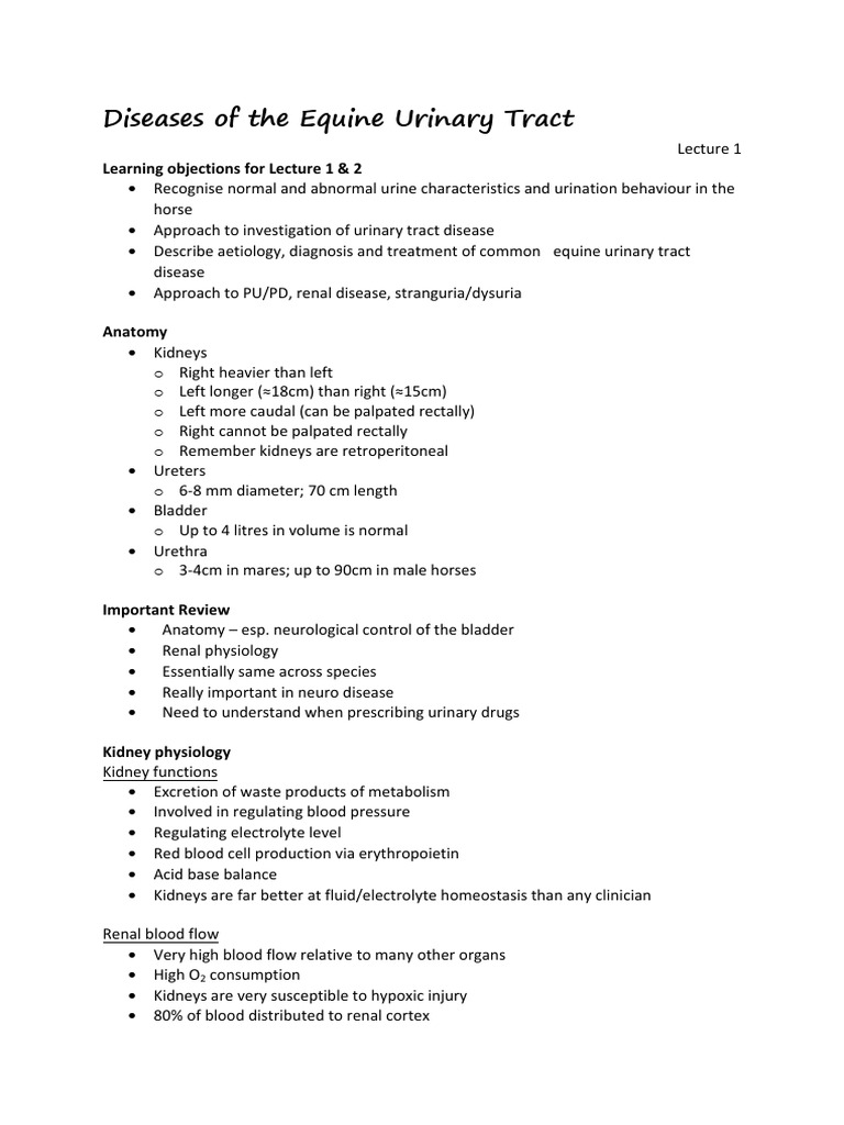 50, 51. Diseases of The Equine Urinary Tract | PDF | Kidney | Urinary System
