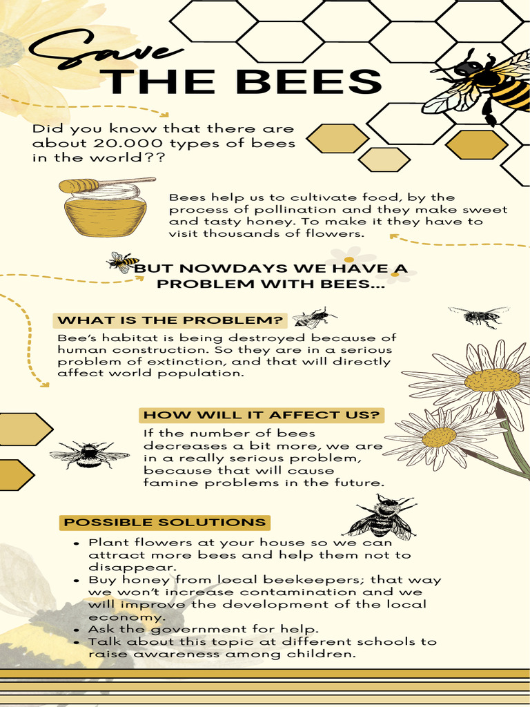 The Honey Bee Educational Infographic Yellow Illustrated | PDF