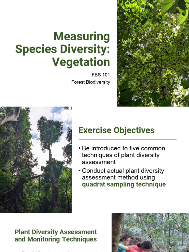 Exercise 2 Measuring Species Diversity Vegetation Pdf Allele Dominance Genetics