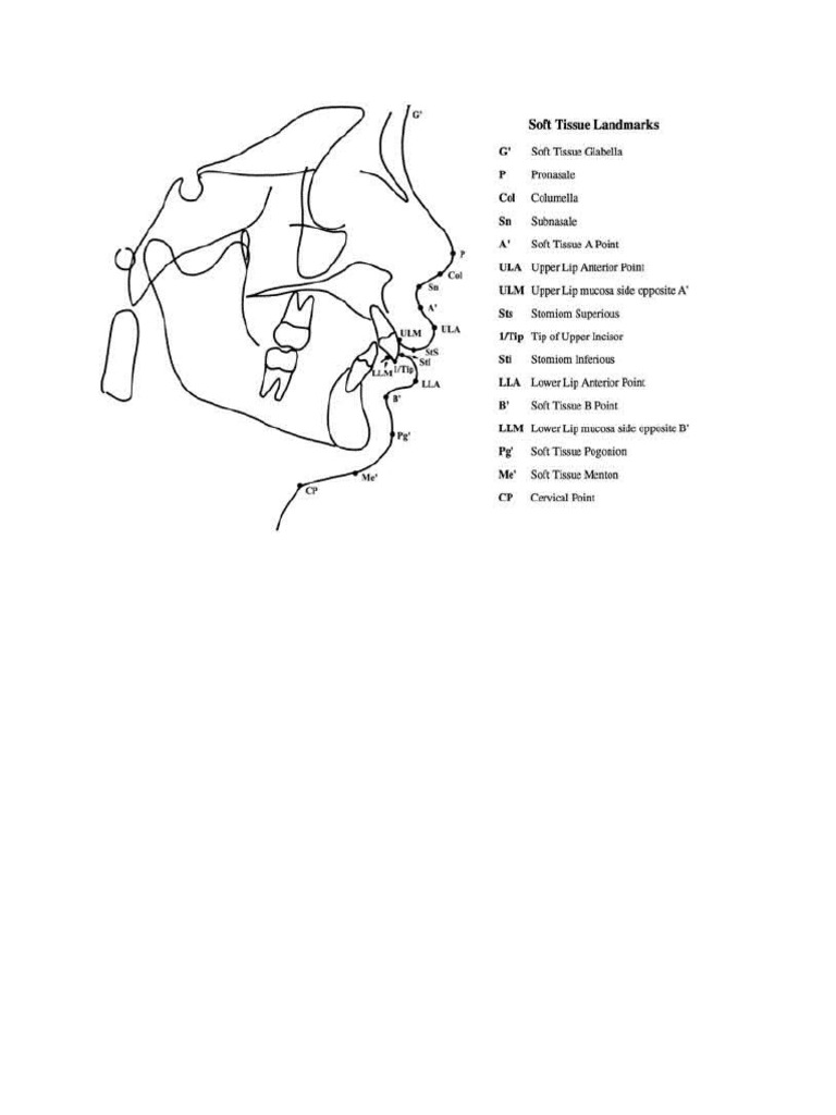 PG - Soft Tissue Pogonion | PDF