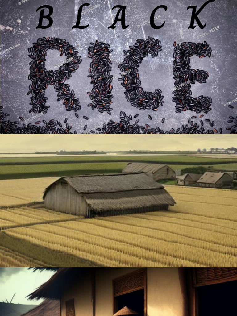 The Legend of The Black Rice | PDF