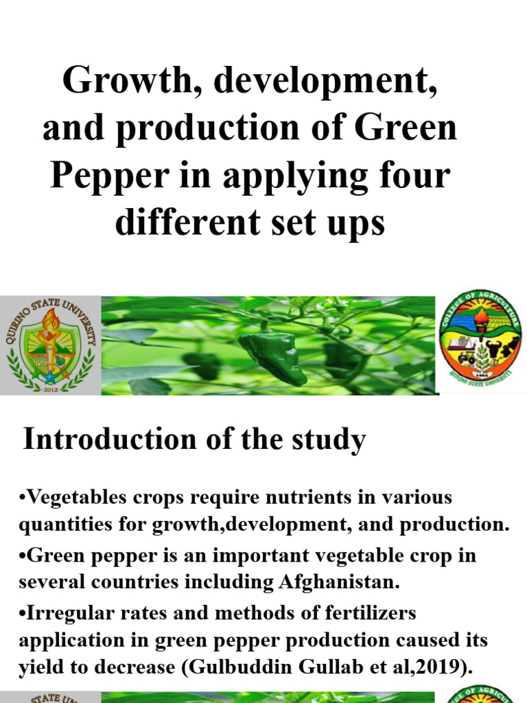 Growth, Development, and Production of Green Pepper in Applying Four ...